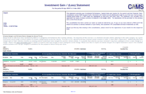 CAMS - Services, Features & Capital Gains Statement - Learn by Quicko